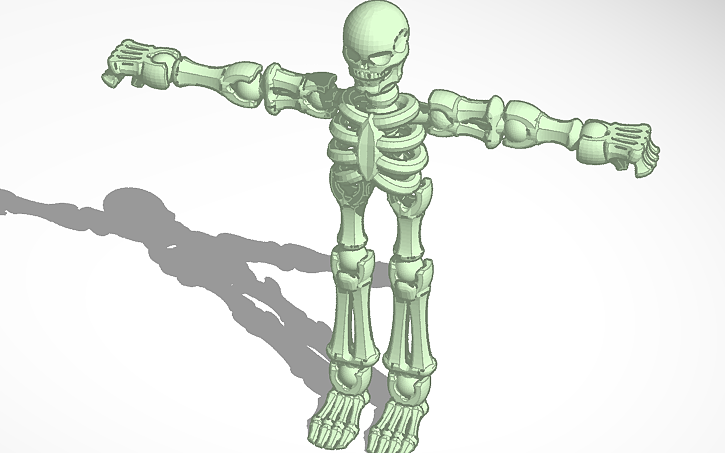 3D design Skeleton | Tinkercad