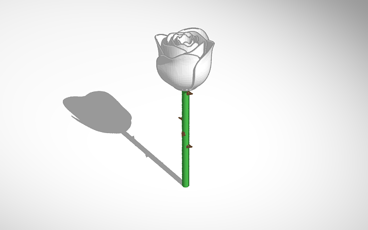 3D design White Rose | Tinkercad