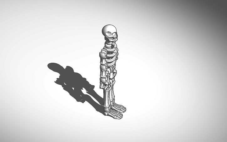 3D design Skeleton - Tinkercad