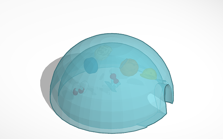 3D design Inside the special Museum | Tinkercad