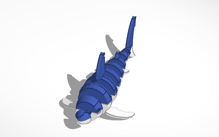 3D design Lil' wiggly shark - Tinkercad