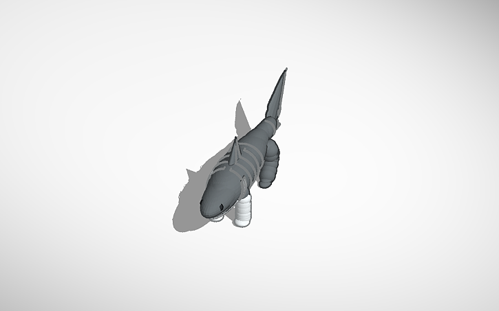 3D design Tiger Shark - Tinkercad