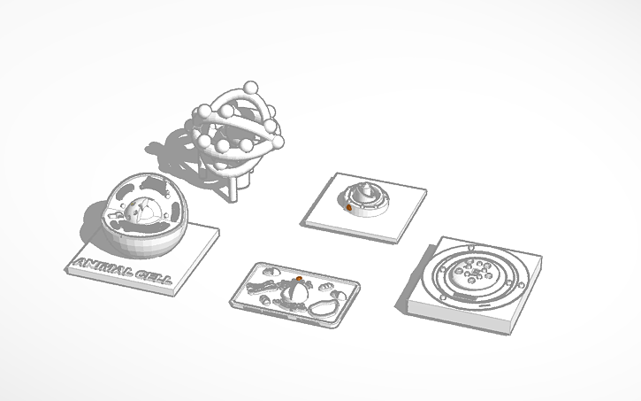 3D design Cranbrook Scavenger hunt - Tinkercad