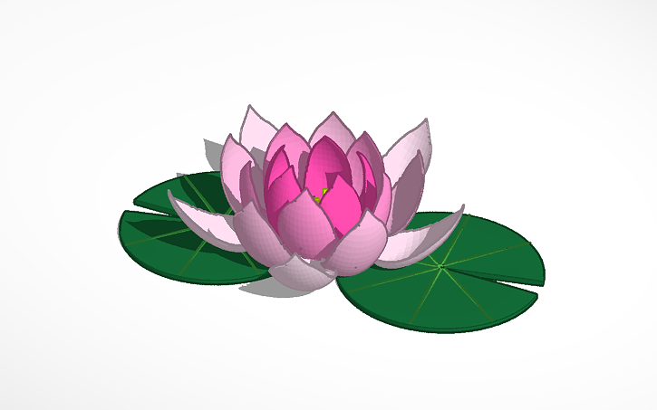 3D design Lotus - Tinkercad