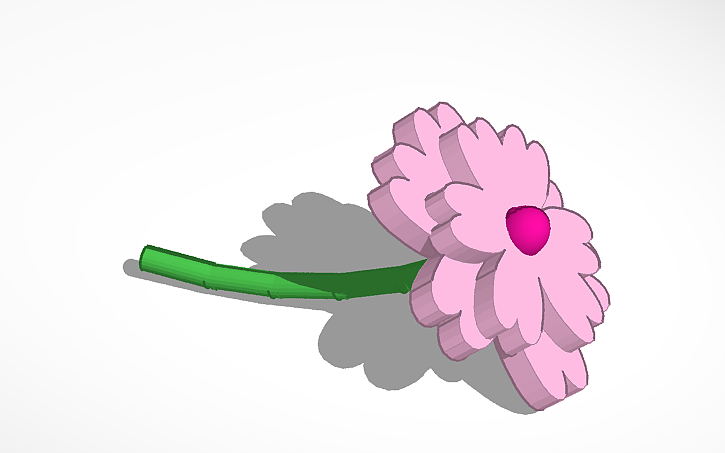 3D design Carnation Flower - Tinkercad