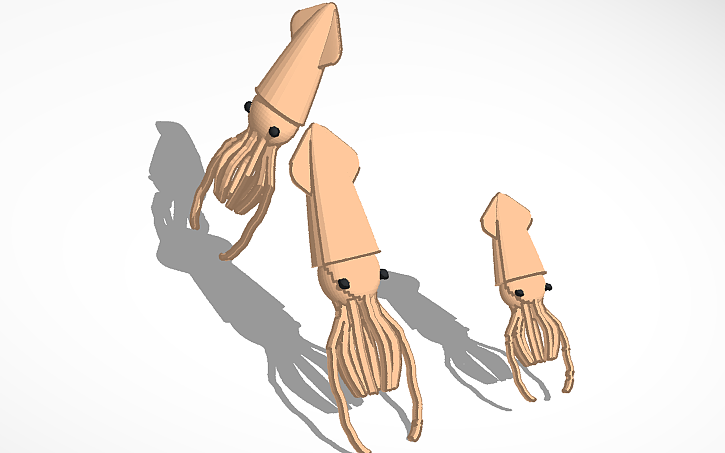 3d Design Squids Tinkercad
