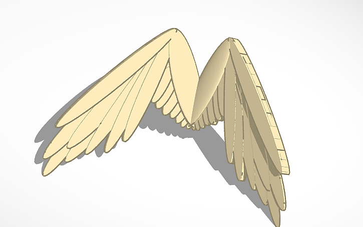 3D design Wings - Tinkercad