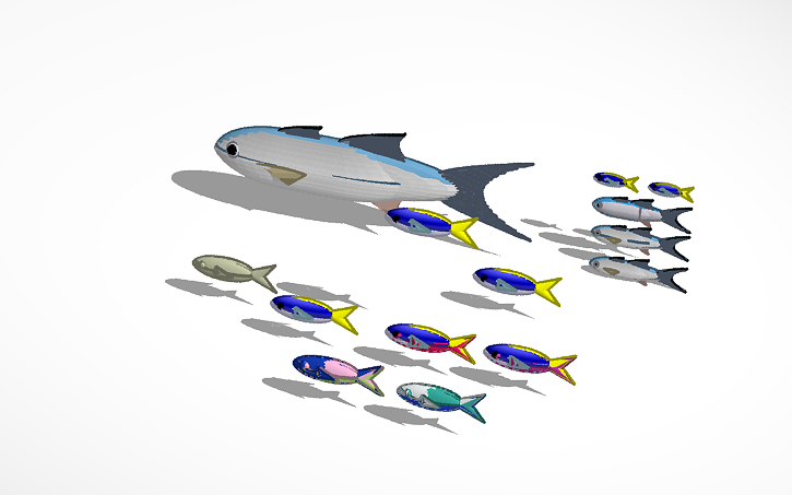 3D design Fish Experiments - Tinkercad