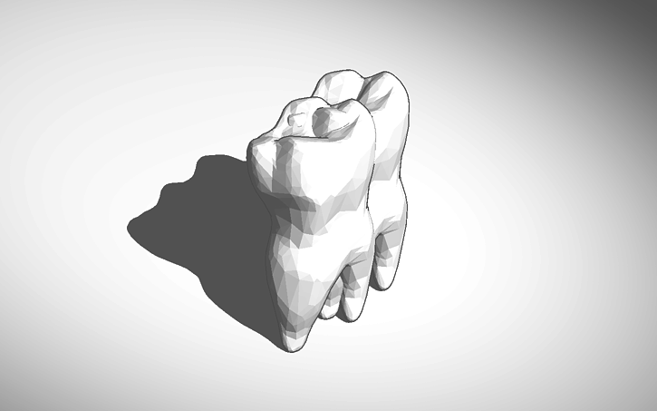 3D design teeth - Tinkercad