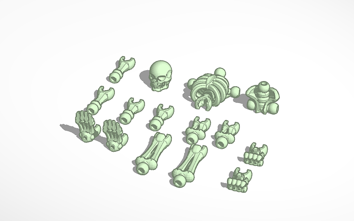 3D design human - Tinkercad