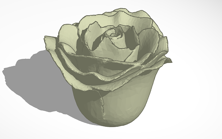 3D design Rosa | Tinkercad