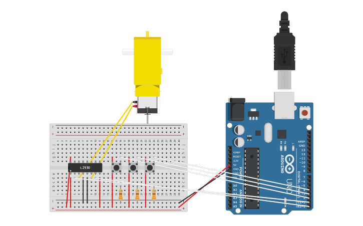 Circuit design Magnificent Krunk | Tinkercad
