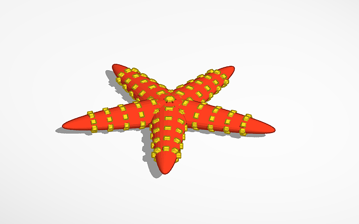 3D design star fish - Tinkercad