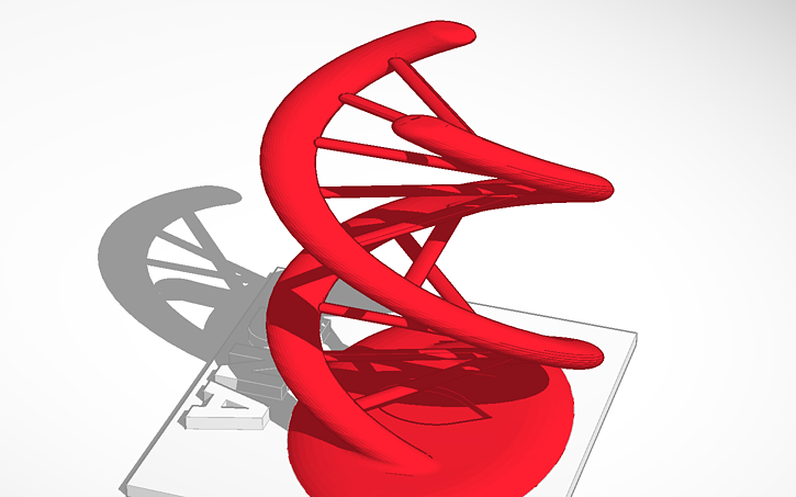 3D design DNA - Tinkercad