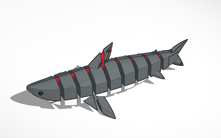 3D design Flexible Shark - Tinkercad