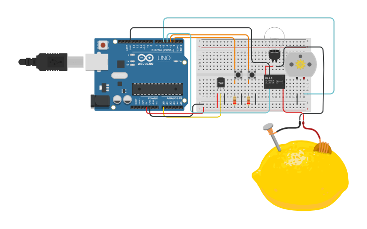 Circuit Design Lab Act 4 Instru Lab Tinkercad