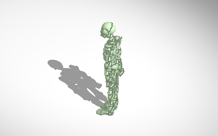 3D design HUMAN - Tinkercad
