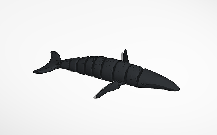 3D design Humpback whale - Tinkercad