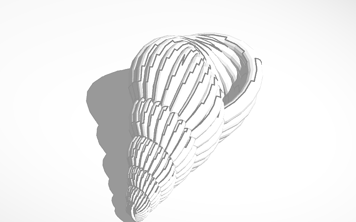3D design conch shell - Tinkercad