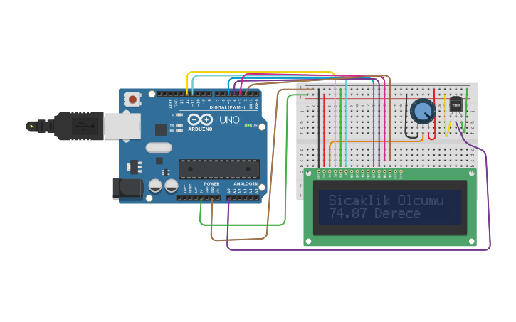 Circuit design Dijital Termometre - Tinkercad