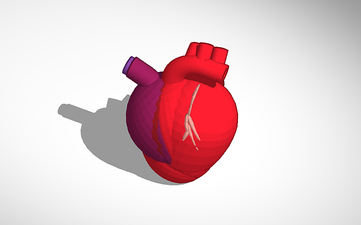 3D design tf2 mega baboon heart - Tinkercad