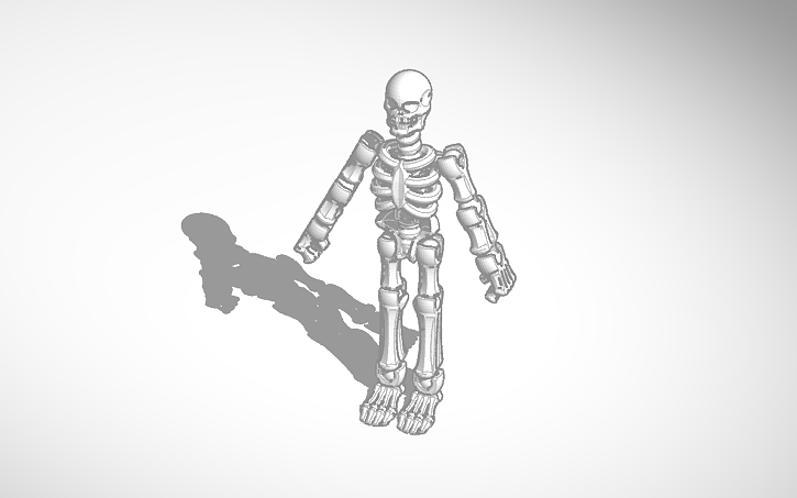 3D design Skeleton - Tinkercad