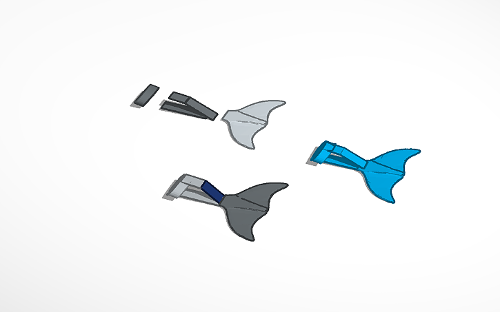 3D design prótesis delfín - Tinkercad
