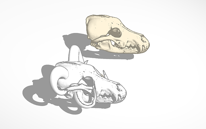 3D design wendigo/dog skull mask | Tinkercad