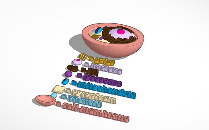 3d Design Cell Membrane Structure Tinkercad