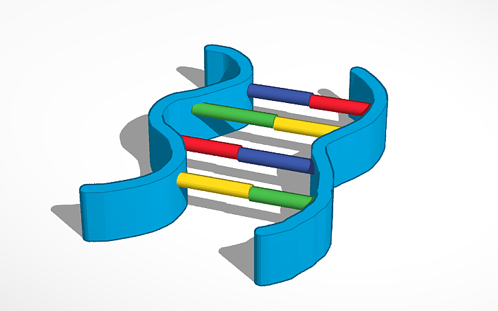 3D design DNA Project | Tinkercad
