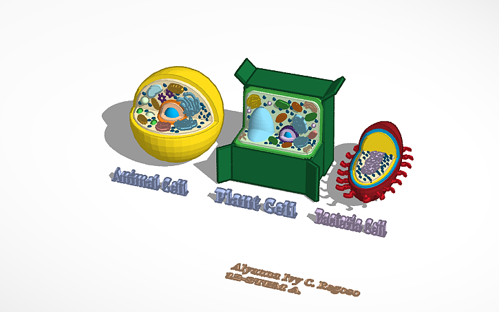 3D design Alyanna Regoso- 3D Cell - Tinkercad