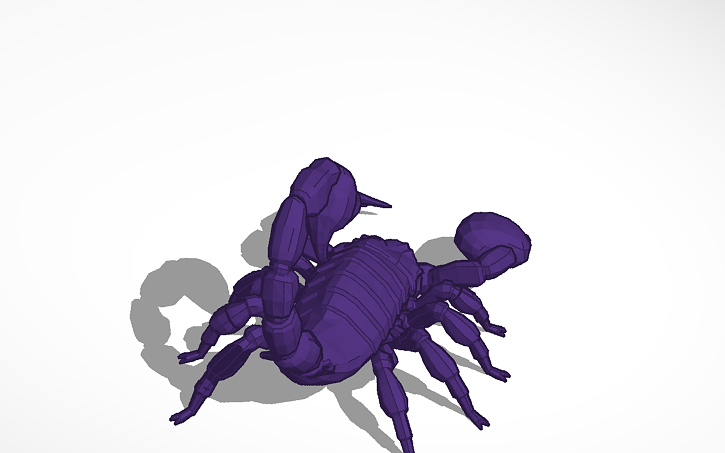 3D design Scorpion - Tinkercad