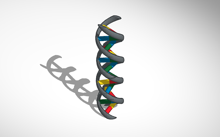 3D design double helix - Tinkercad