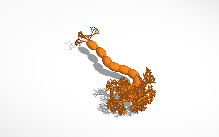 3D design Model Neuron - Tinkercad