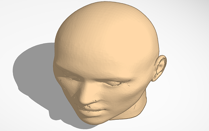 3D design head model - Tinkercad