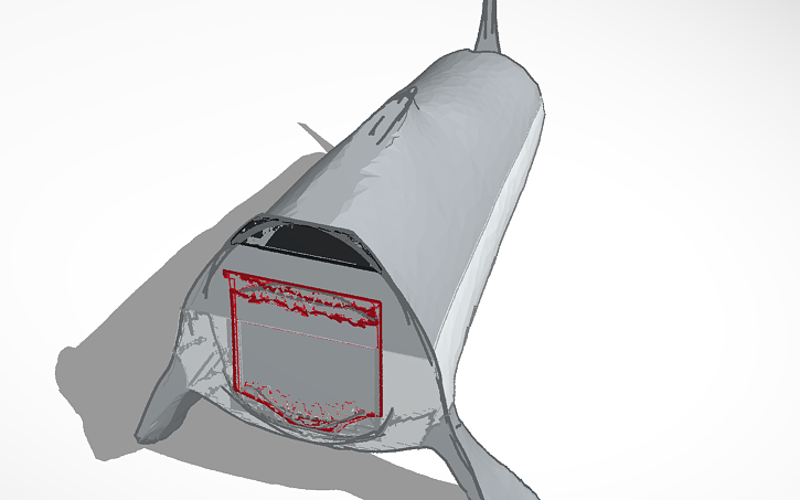 3D design tiburón blanco - Tinkercad