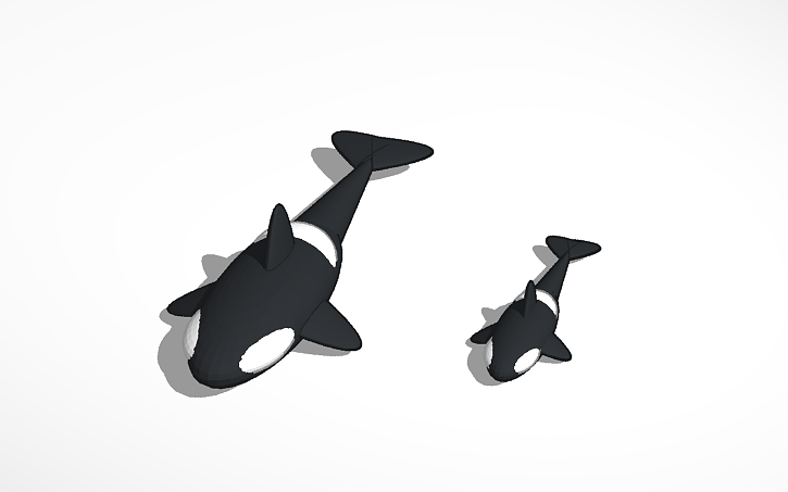 3D design orca - Tinkercad