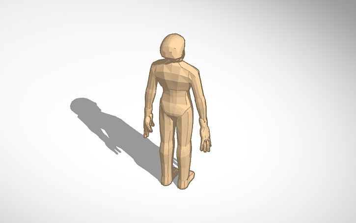 3D design Male - Tinkercad
