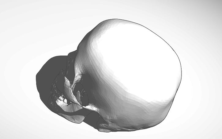 3D design Skull - Tinkercad