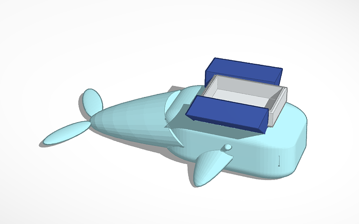 3D design Whale - Tinkercad