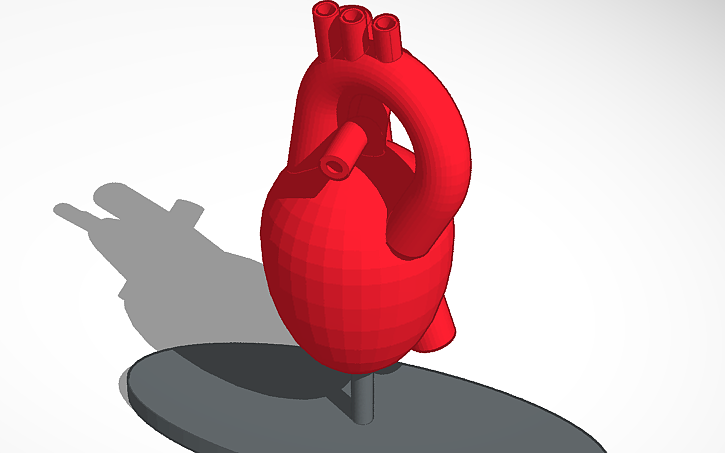 3D design Heart - Tinkercad