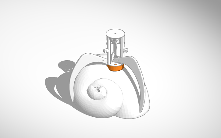 3D design Claw Crab Shell - Tinkercad