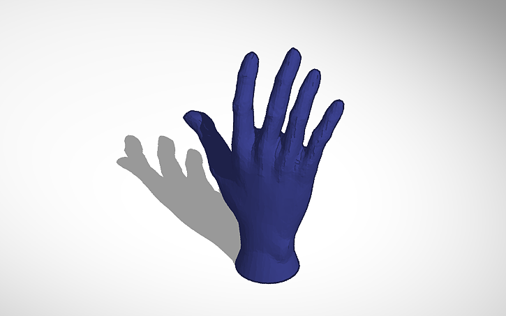 3D design left hand - Tinkercad
