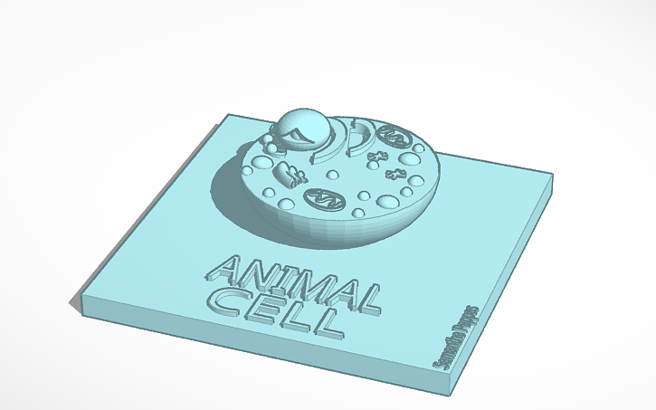 3D design animal cell | Tinkercad