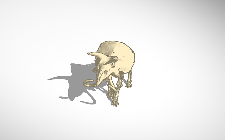 3D design Triceratops | Tinkercad