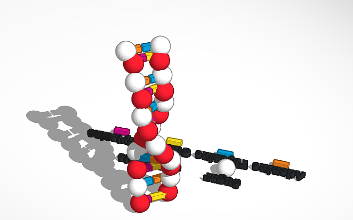 3D design DNA | Tinkercad