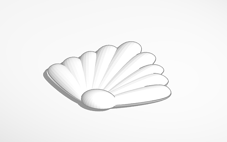 3D design How to Create a Clam Shell - Tinkercad