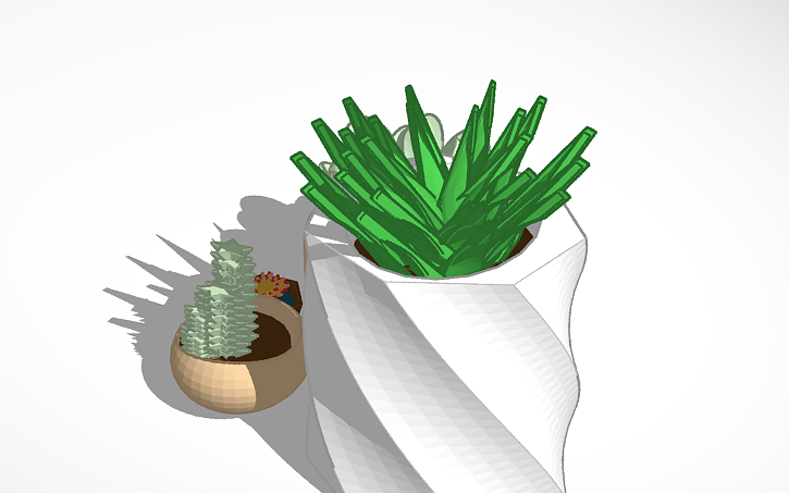 3D design plants - Tinkercad