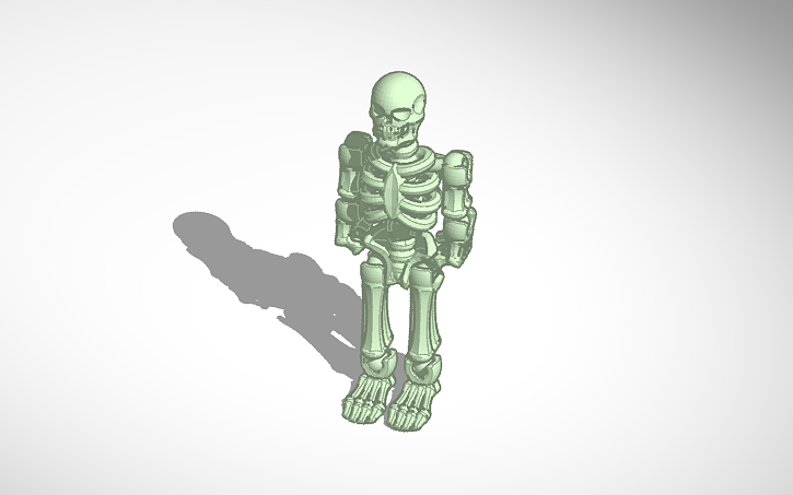 3D design bones - Tinkercad