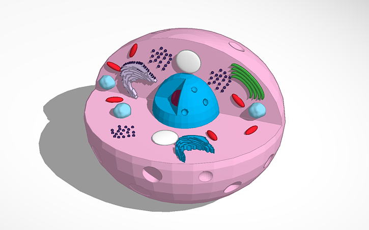 3D design Imani and Emma Cell 3D Model | Tinkercad